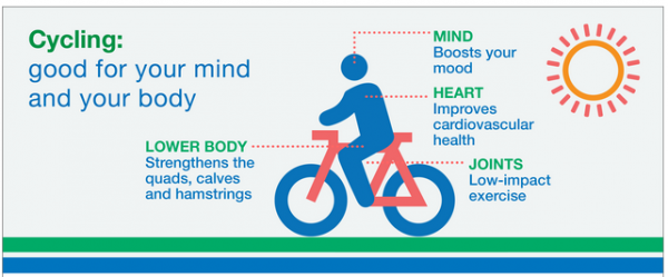 The Impact of Bike Riding on Your Health - The Shard Bike